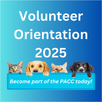 Volunteer Online Orientation Process 2025 - Pima Animal Care Center ...