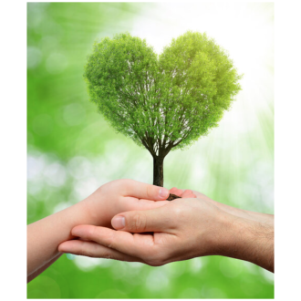 North Oaks Park Tree Planting, Mulching and Kids Activity - It's My ...