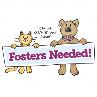 Pima Animal Care Center Fosters | Pima Animal Care Center (PACC)