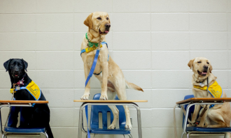 Fall Back Into This Semester With Living Unleashed - Living Unleashed ...